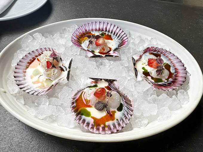 Scallop crudo nestled in seashells on ice—ocean jewels transformed into edible art that tastes like the Mediterranean's finest postcard.
