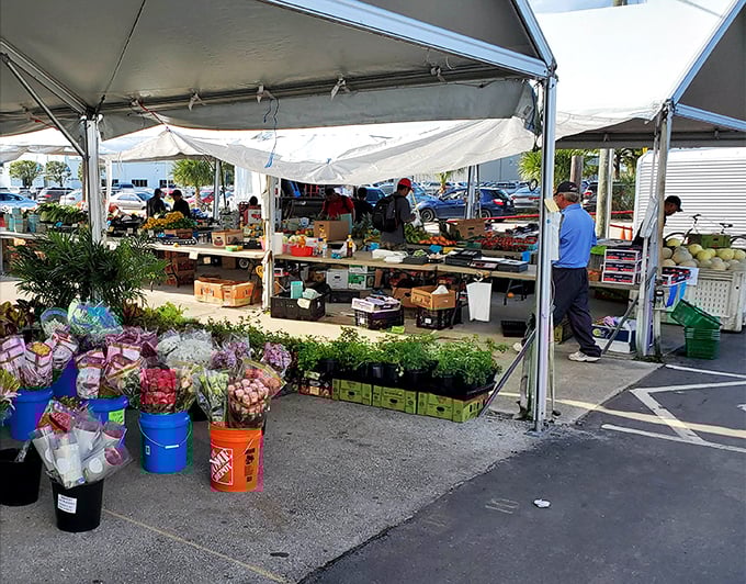Fresh produce meets Florida flora under canvas canopies, proving that not all treasures at the flea market are second-hand.