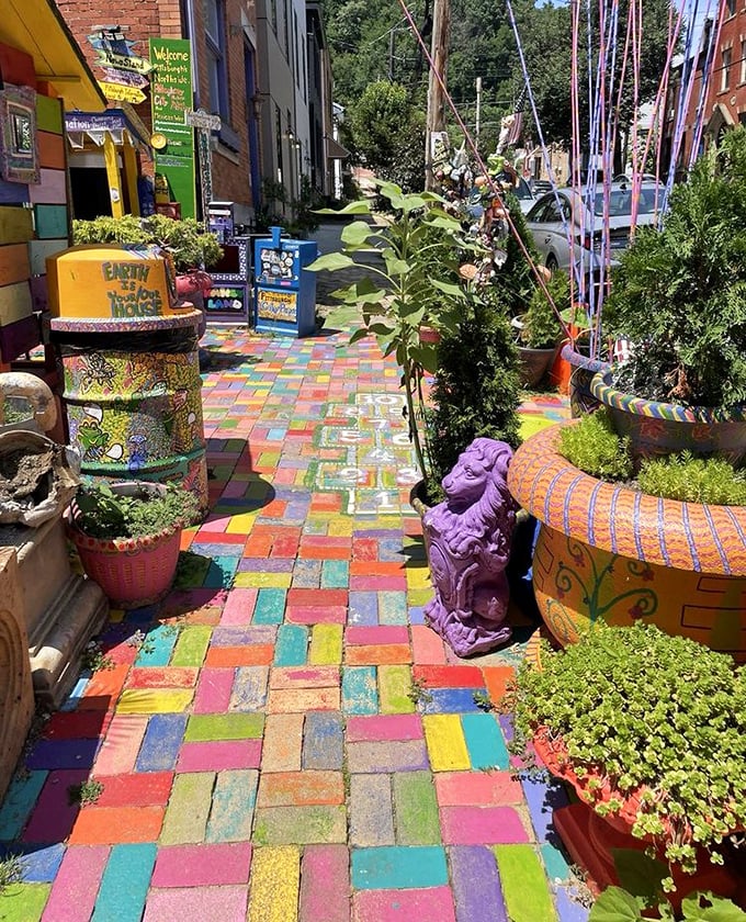 The rainbow brick road doesn't lead to Oz—it leads everywhere within this psychedelic sanctuary of unbridled imagination.