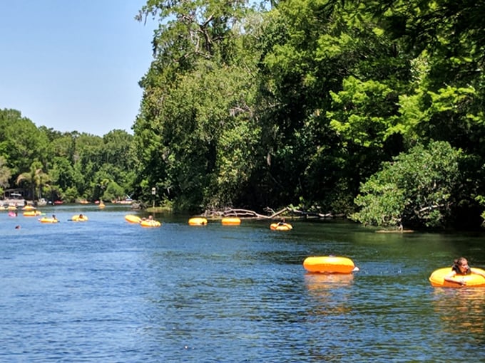 The world's laziest form of transportation is also its most joyful – tubing down Rainbow River is like a conveyor belt of happiness.