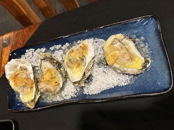 Fresh oysters on a cobalt blue plate—ocean treasures presented like jewelry, just waiting for a squeeze of lemon.
