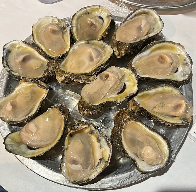 Fresh oysters arranged like a clock face of briny delights – nature's perfect appetizer waiting for just a squeeze of lemon.
