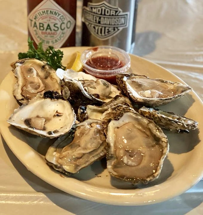 These oysters aren't just fresh – they're practically still gossiping about what happened in the bay this morning.