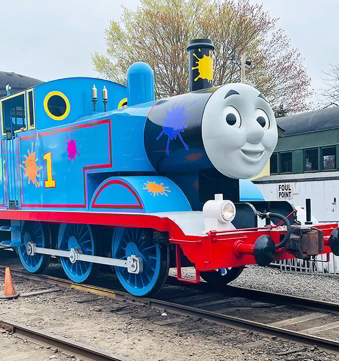 Yes, that's really Thomas! The famous blue engine makes special appearances, proving some childhood friends never leave us—they just get bigger than we remember.