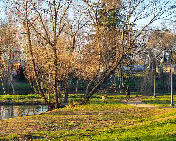 Morning walks along the riverbank – where dogs are happier, humans are friendlier, and nobody's checking their watch every thirty seconds.
