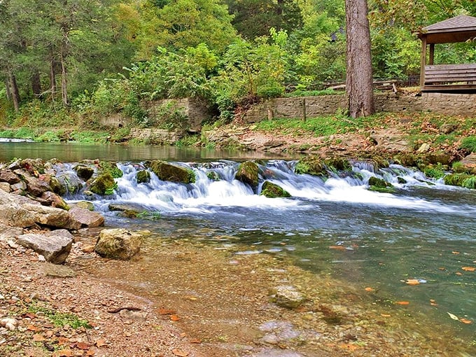 Nature's symphony in action – crystal clear waters tumble over moss-covered rocks while sunlight dapples through the trees, creating Missouri's perfect soundtrack.