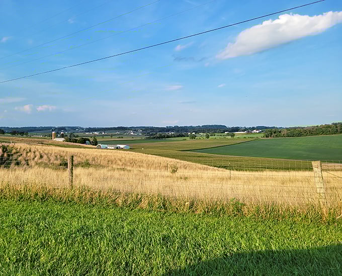 The patchwork quilt effect of these rolling fields isn't by accident – it's centuries of agricultural wisdom creating a landscape that's both productive and breathtaking.