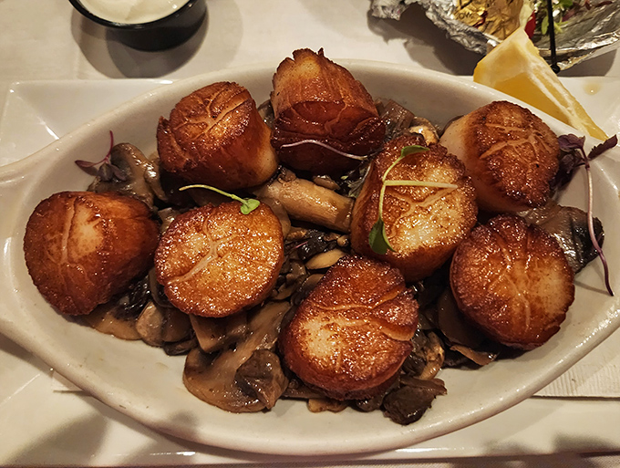 Golden-brown scallops nestled among mushrooms – little islands of buttery perfection that would make Neptune himself request seconds.