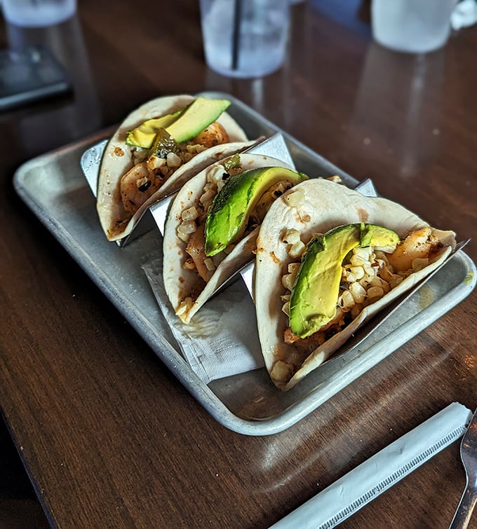 Shrimp tacos that demand to be photographed before eaten—the avocado slices arranged with the precision of a Renaissance painting.