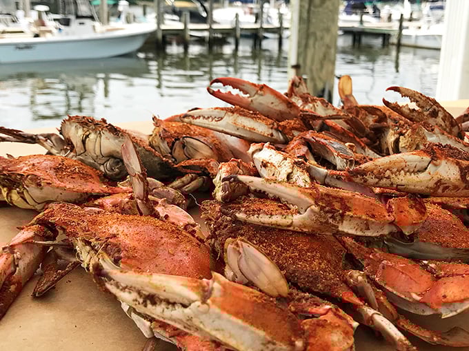 The ultimate Maryland centerpiece—steamed crabs dusted with spice, ready for the picking. Grab a mallet and prepare for delicious destruction!