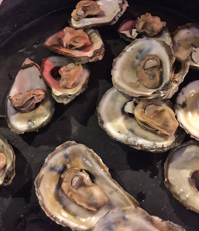 These freshly shucked oysters glisten like jewels, each one a perfect little package of briny ocean goodness.