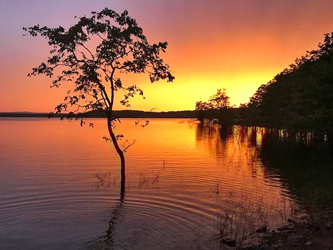 Nature puts on a nightly show at nearby lakes, painting the sky in impossible oranges and pinks that no filter could ever improve upon.