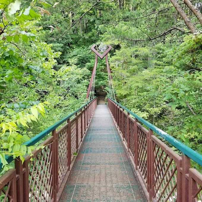This suspension bridge isn't just a crossing—it's a portal into Hocking Hills' emerald heart. Halfway across, you're officially on vacation from reality.