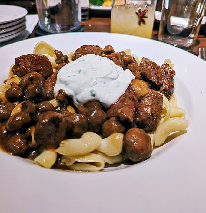 Tender beef stroganoff crowned with a cloud of sour cream—proof that sometimes the most comforting dishes are also the most impressive.