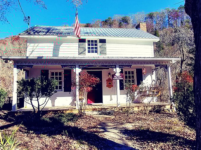 The Thomas Amis House stands as a testament to when craftsmanship mattered and homes were built to outlast their mortgages.