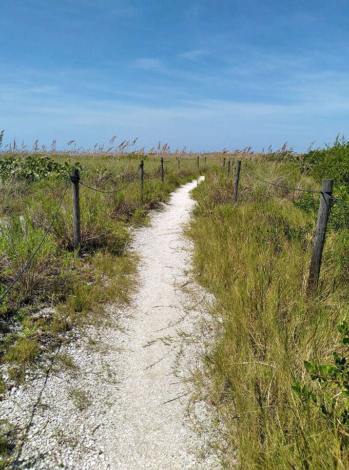The path less traveled actually exists, and it looks exactly like this—a sandy trail through sea oats leading to your own private beach moment.