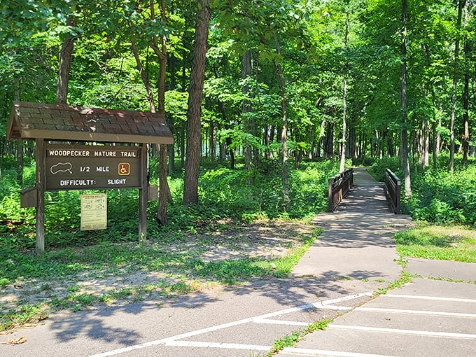 The Woodpecker Nature Trail – where "slight difficulty" means you might have to put down your coffee for that one tricky step.
