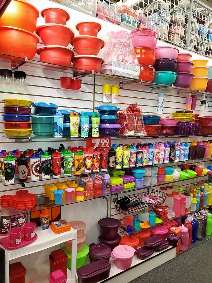 A rainbow explosion of kitchen containers that would make Marie Kondo weep with organizational joy. Leftovers never looked so good.