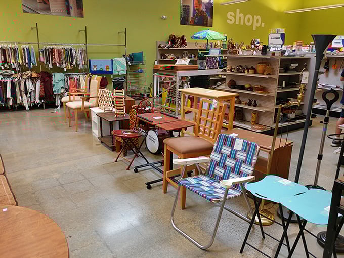 The chair collection looks like a design history museum had a yard sale—from retro lawn chairs to dining room classics, each with stories we can only imagine.