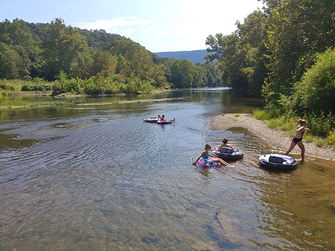 Family river day: where memories are made, phones stay dry in the car, and everyone remembers why we endure Virginia summers.