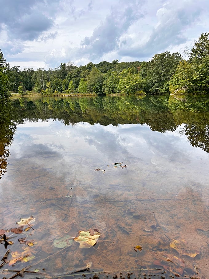 Mirror, mirror on the pond – Laurel Ridge's reflective waters double the autumn splendor, creating paintings that change with every breeze.