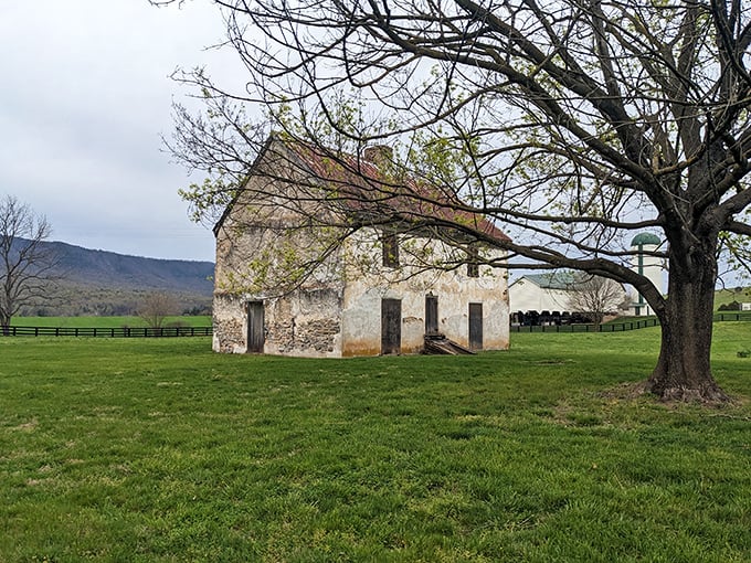 Historic architecture stands proudly, weathering decades with the dignity of fine aged bourbon.