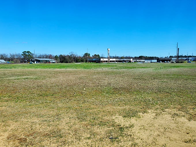 Wide open spaces under that famous Georgia blue sky—Williams Field offers a canvas of possibility where community gatherings unfold throughout the year.