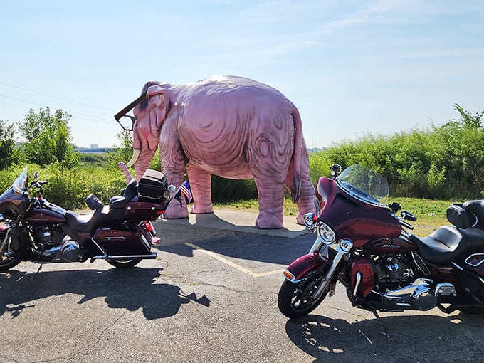 Bikers know the best stops—where else can you park your Harley next to a pink elephant wearing glasses bigger than your windshield?