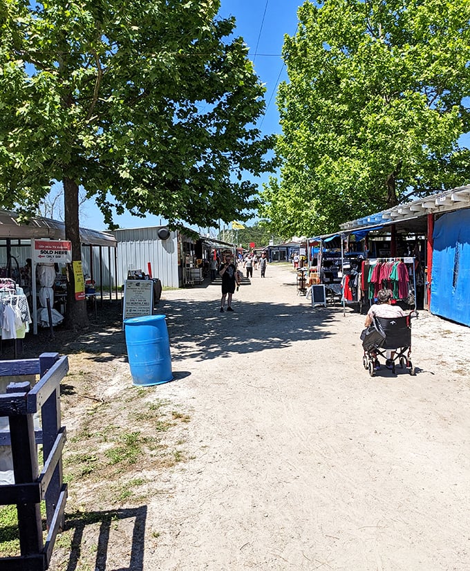 Shaded by towering trees, these outdoor stalls create the perfect Florida shopping experience—part adventure, part social gathering.