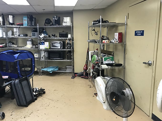 The appliance graveyard, where yesterday's kitchen gadgets and electronics await resurrection in new homes—one person's castoff, another's essential find.