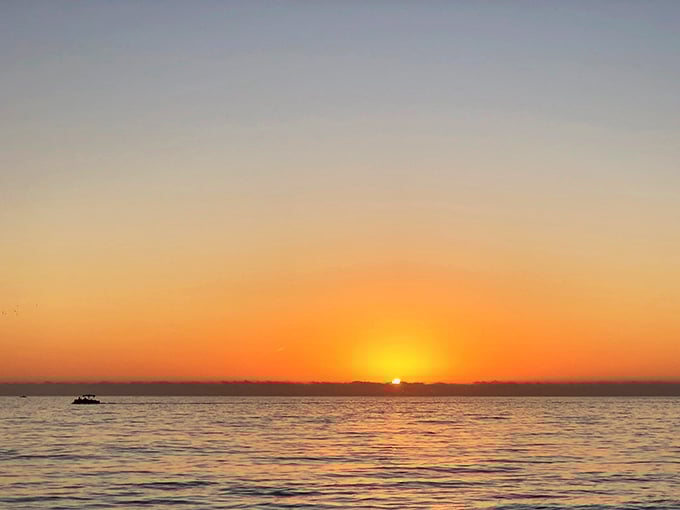 Florida sunsets don't just happen—they perform. This daily spectacle makes even the most jaded locals stop scrolling and start appreciating.