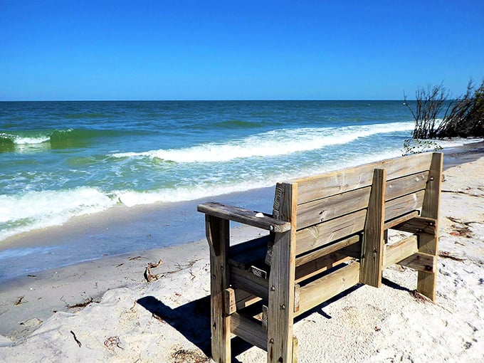 The best seat in the house doesn't require reservations. Nature's oceanfront theater offers continuous performances of "Waves: The Musical."