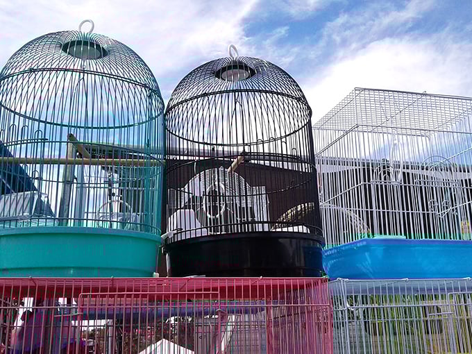 Decorative birdcages add unexpected charm to the marketplace, proving you never know what treasures await around each corner.