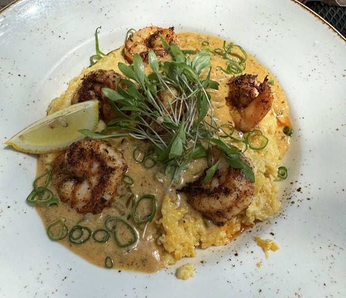 Blackened shrimp lounging on creamy grits with a sauce so good you'll consider drinking it directly from the plate when no one's looking.