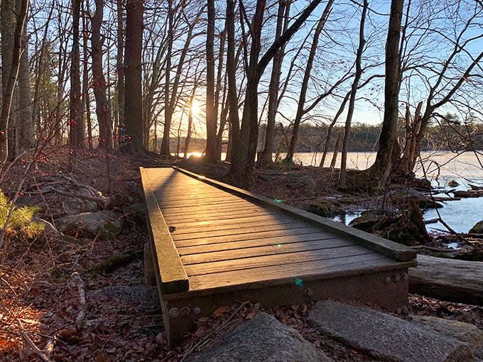 Dawn's golden light transforms this simple boardwalk into a pathway to somewhere magical—like finding Narnia in your own backyard.
