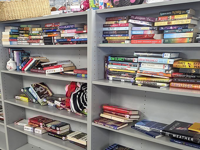 Books stacked like literary jenga—spy novels rubbing covers with cookbooks that know the secret to perfect gumbo. Knowledge for pennies!