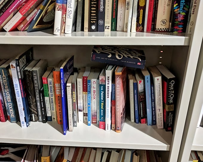 Literary treasures stacked spine-to-spine—where else can you find a cookbook, thriller, and self-help guide from three different decades for the price of a latte?