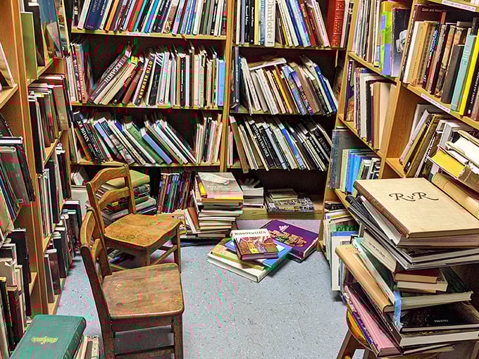 Literary heaven for bibliophiles! This cozy nook houses everything from forgotten bestsellers to obscure treasures waiting for their next reader.