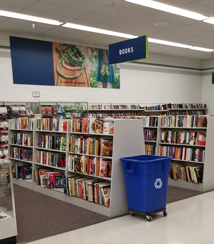 The book section offers literary adventures at pocket-change prices—where else can you build a library for less than a streaming subscription?