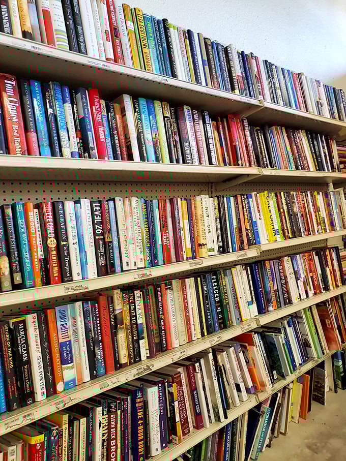 Bibliophiles rejoice! These shelves hold literary adventures for less than the price of a fancy coffee. Bestsellers without the bestseller price.