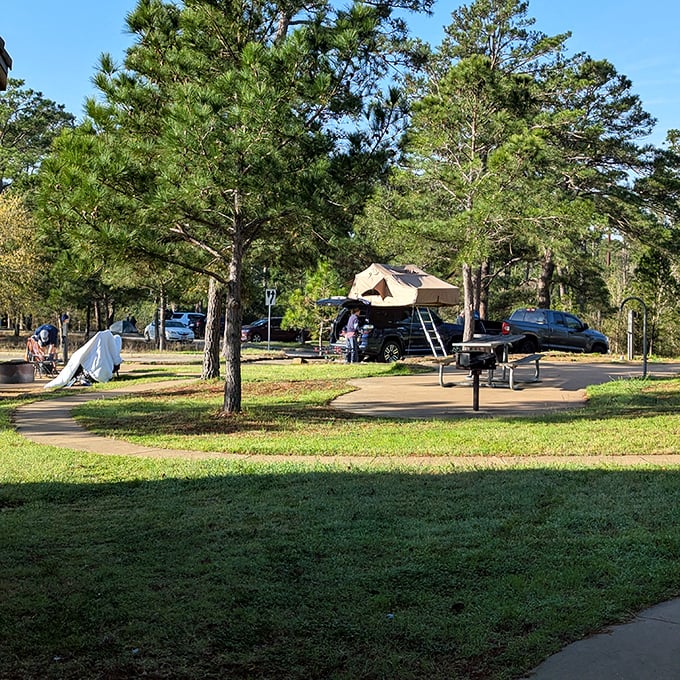 Camping among the Lost Pines—where your roof is optional but the stars are guaranteed. Texas hospitality, courtesy of Mother Nature.