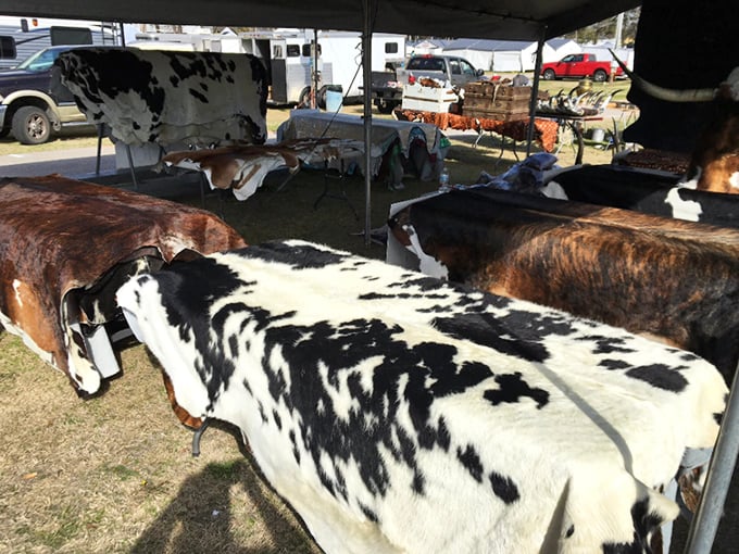 Where Western heritage meets everyday practicality. These cowhides transform from ranch staple to designer home accent without the designer price tag.