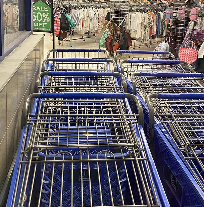 Blue shopping carts stand at attention, ready for their mission—filling them feels like a victory lap around retail norms.