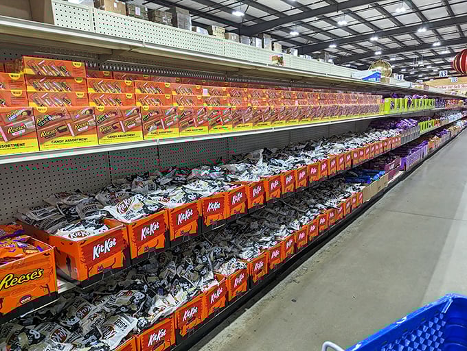 A chocolate lover's fever dream made manifest. Those Kit Kat boxes aren't just containers—they're portals to moments of sweet escape at prices that won't sugarcoat your budget.