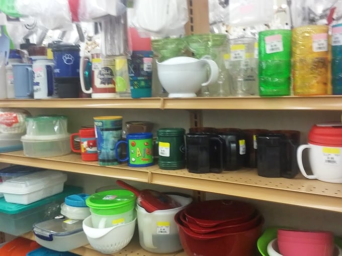 Kitchen essentials in every color imaginable—proof that your grandmother's Tupperware never truly disappears, it just migrates to MyUnique.