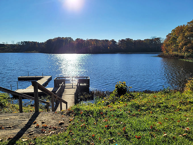 Autumn paints Punderson Lake with a palette that would make Bob Ross weep with joy. That sun-sparkled water isn't just pretty—it's therapy.