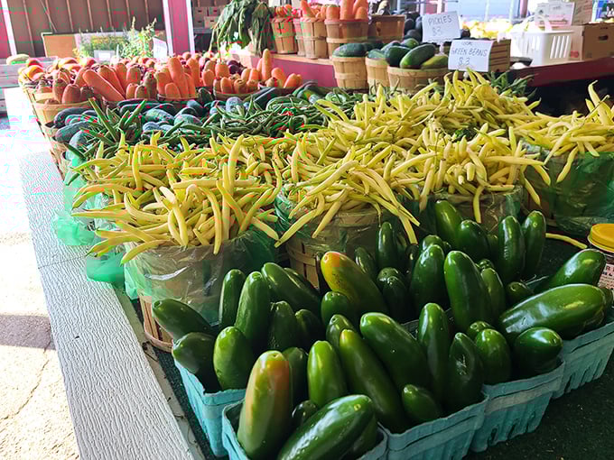 Garden-fresh produce that puts supermarket offerings to shame—these vegetables actually remember what dirt feels like.