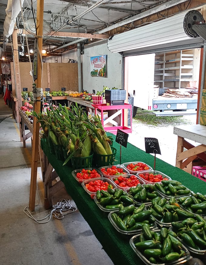 Nature's bounty displayed with farmer's pride. These peppers and tomatoes weren't just grown—they were raised with the kind of attention helicopter parents give their firstborns.