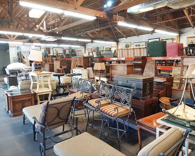 Exposed wooden beams watch over carefully curated collections. Each shelf and table holds potential conversation pieces waiting for the right admirer.