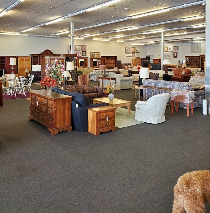 The furniture section—where sofas gather like old friends at a reunion, each with character lines earned through years of faithful service.